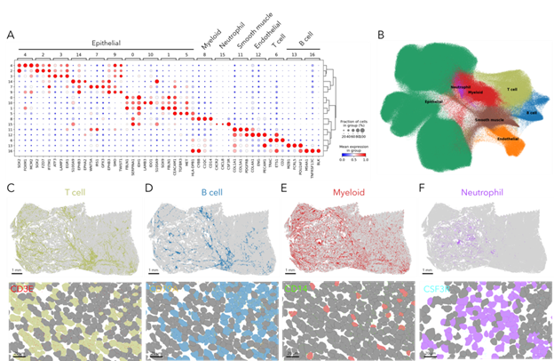 Protein Co-detection Data Release Showcase