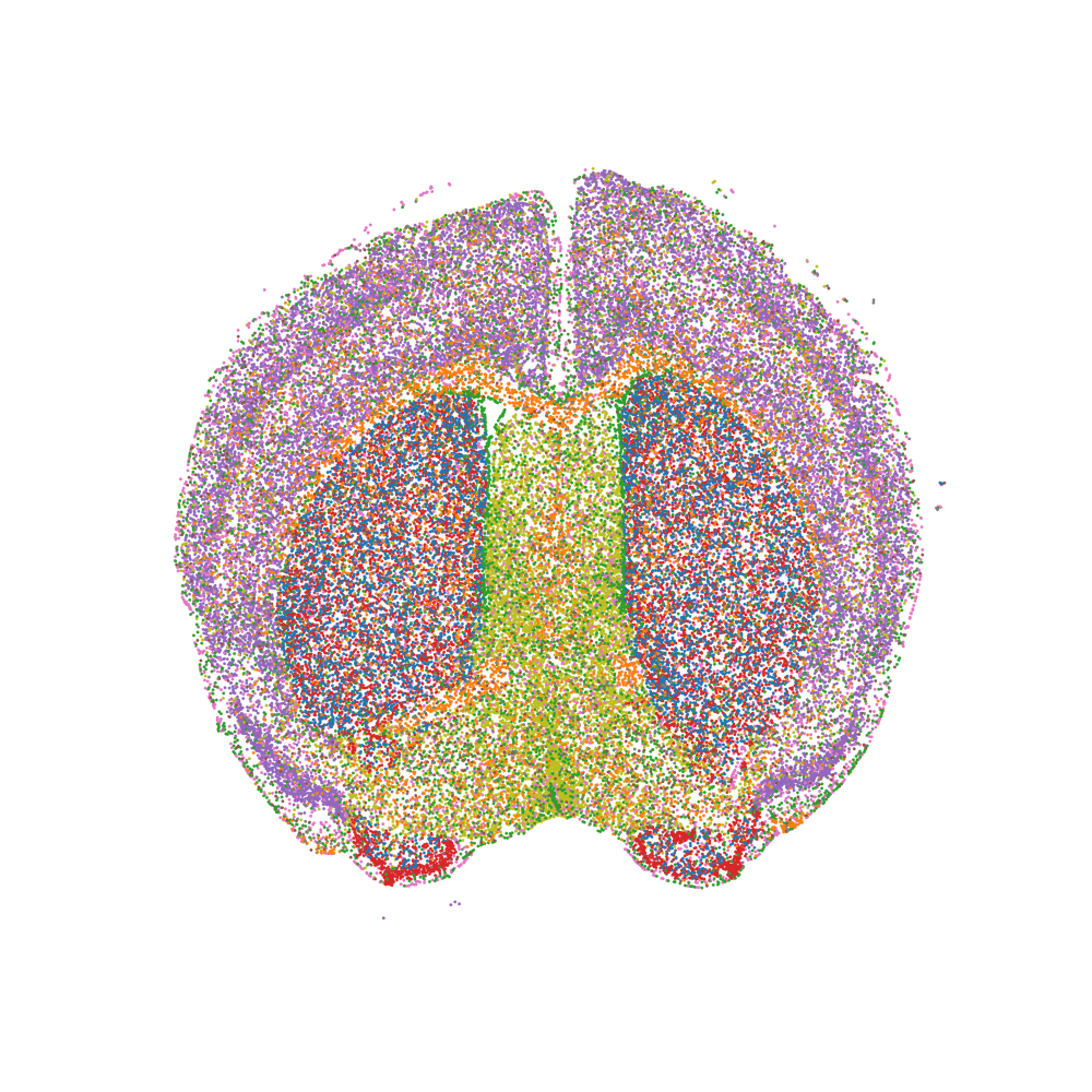 Vizgen MERFISH Mouse Brain Data