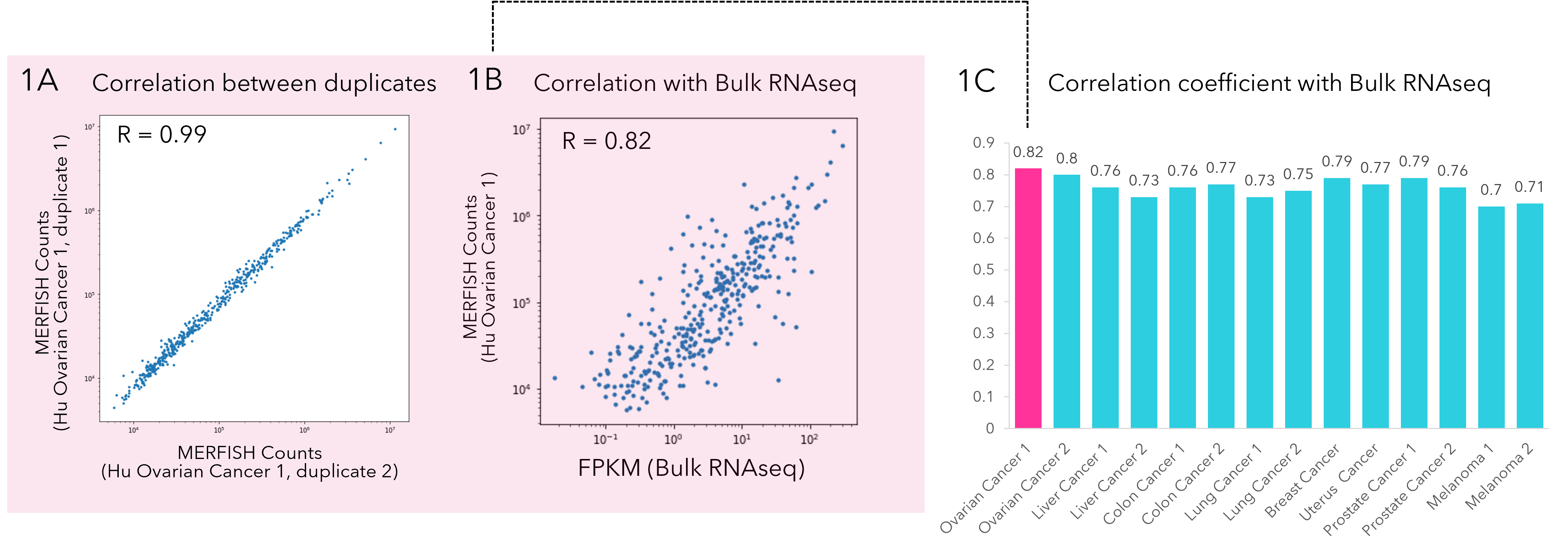 MERSCOPE FFPE Solution Showcase