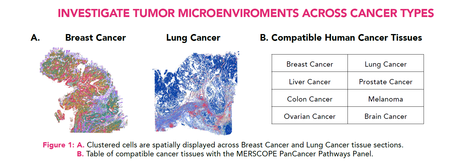 Request A Quote PanCancer Pathways Panel
