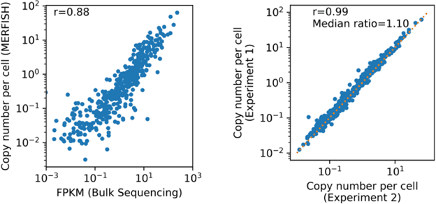 Mouse Brain Receptor Map LP Updated June 2023