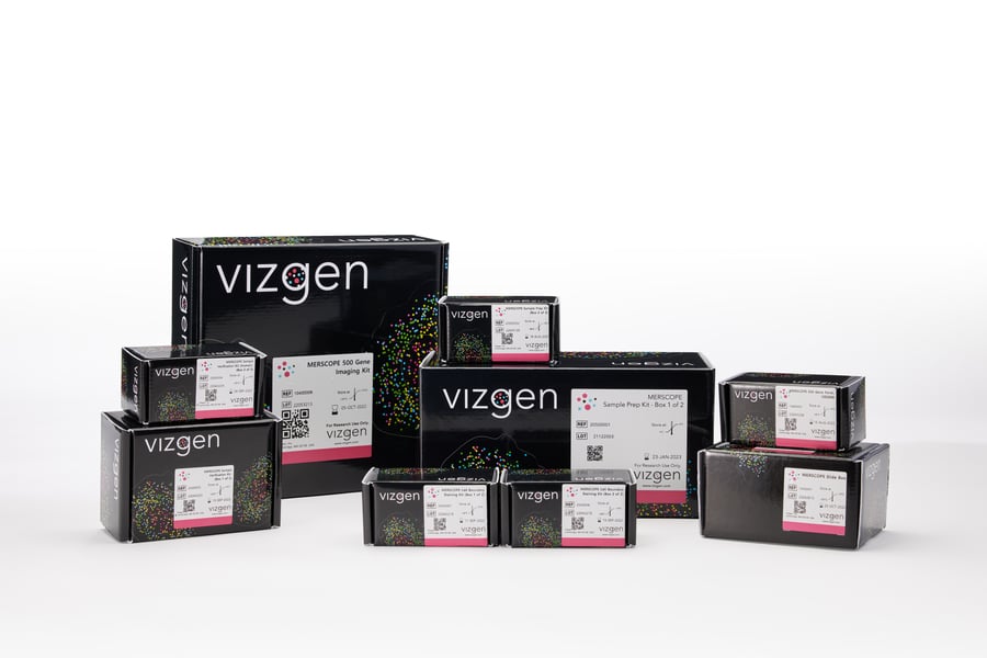 Vizgen MERSCOPE Protein Co-Detection