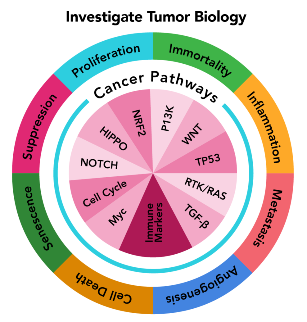 Vizgen Grant Program Application Page