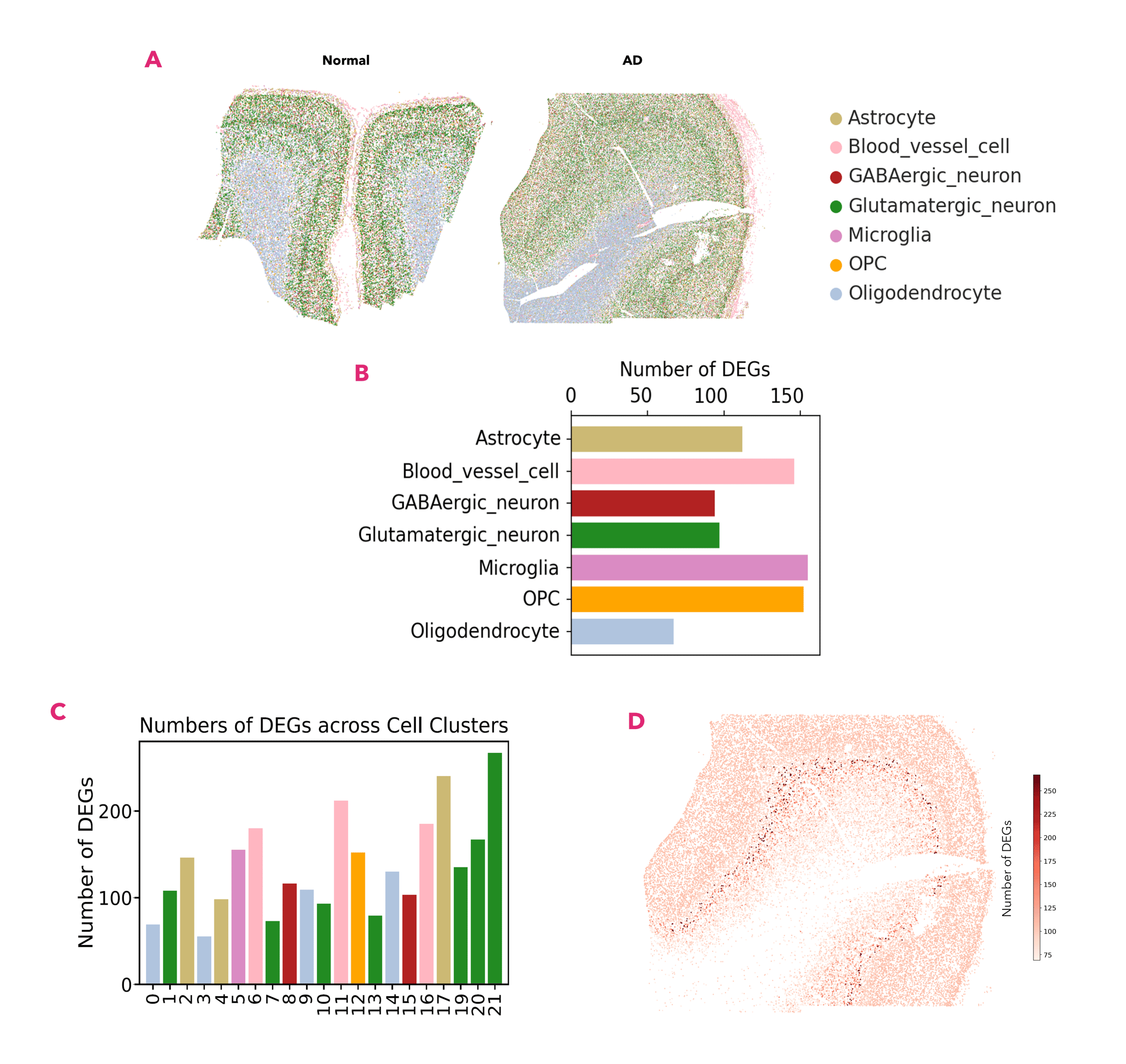 MERSCOPE 1000-Plex Gene Panels