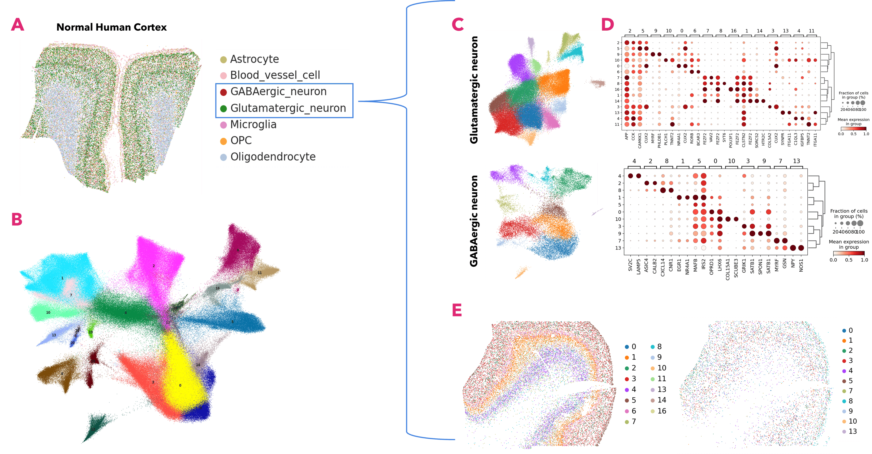 MERSCOPE 1000-Plex Gene Panels