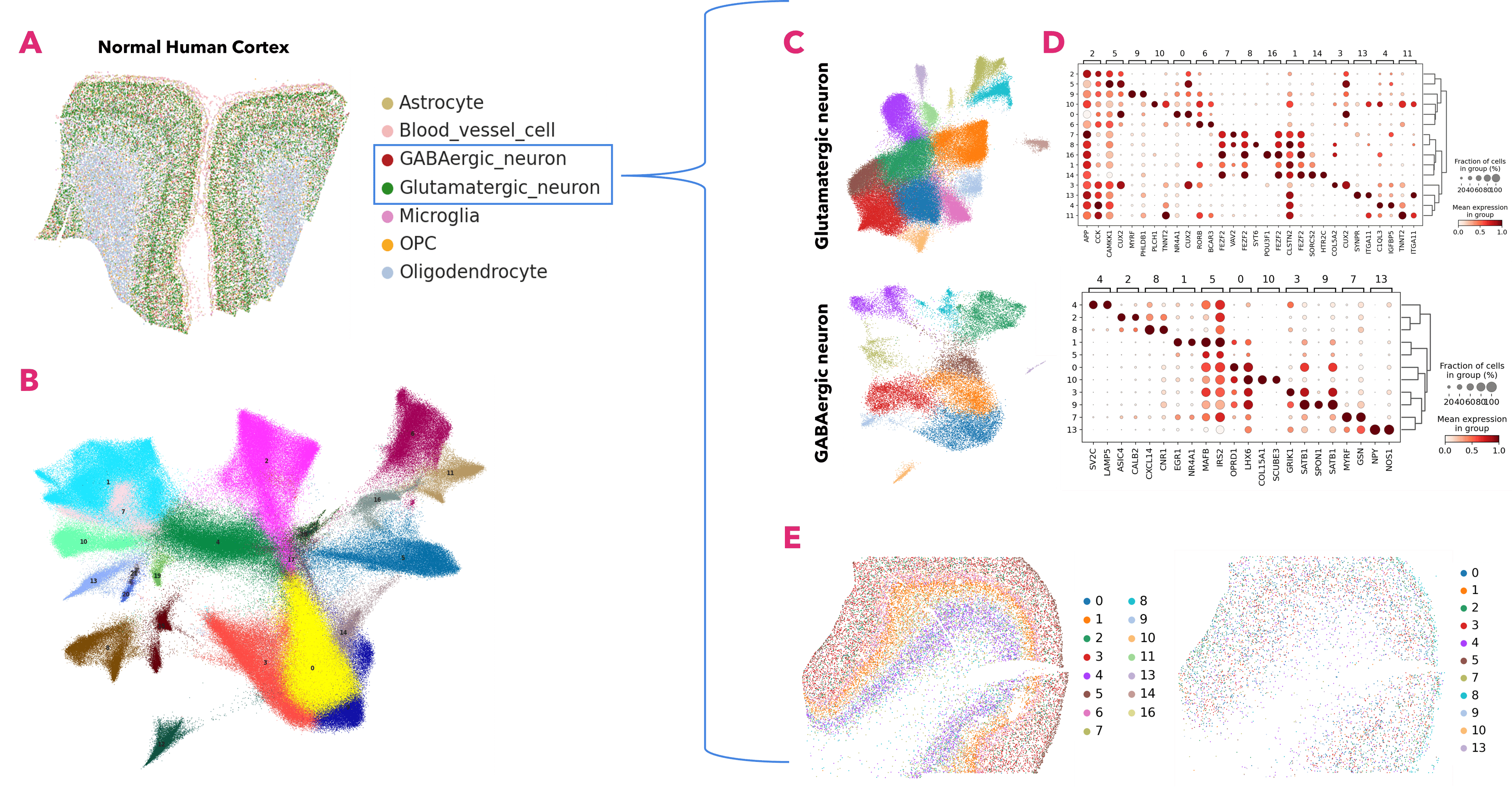 MERSCOPE 1000-Plex Gene Panels