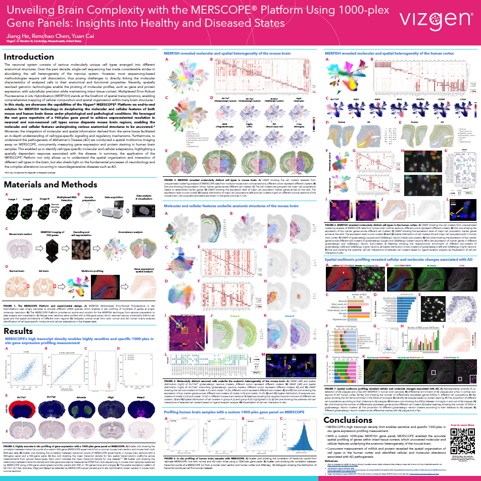 AGBT 2024 Poster: Unveiling Brain Complexity with the MERSCOPE ...